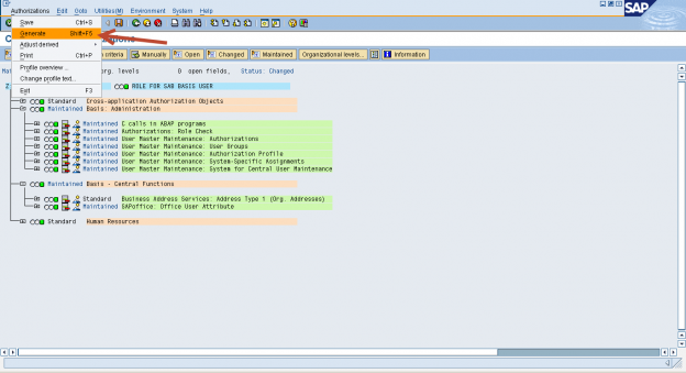 How To Create Single Role In SAP